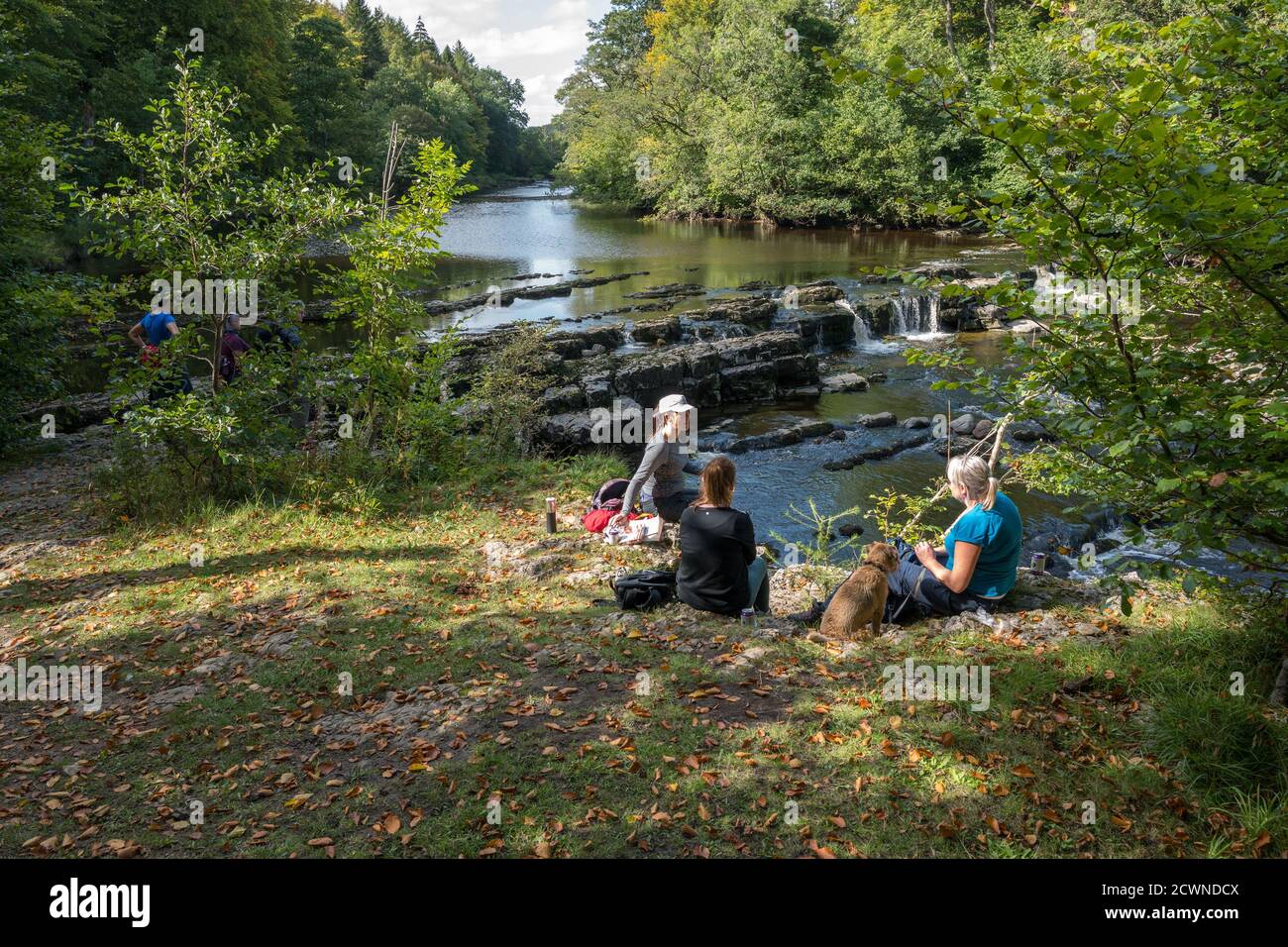 Visitors to Redmire Force, a series of waterfalls along the River Ure ...