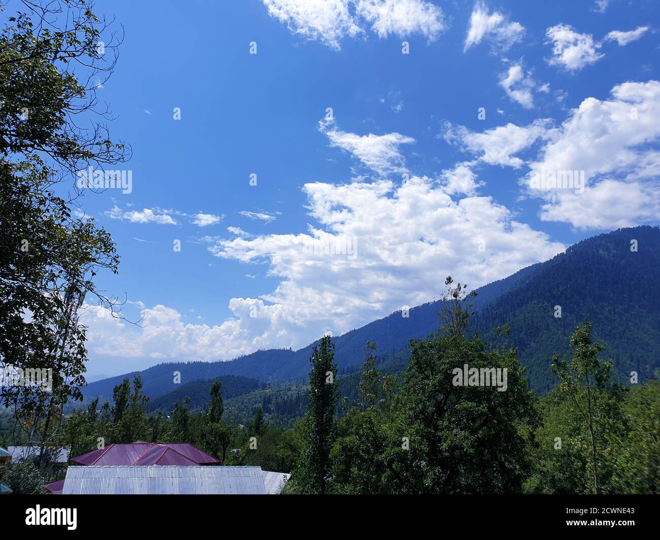 Green vegetable field landscape nature huge beautiful hills and long ...