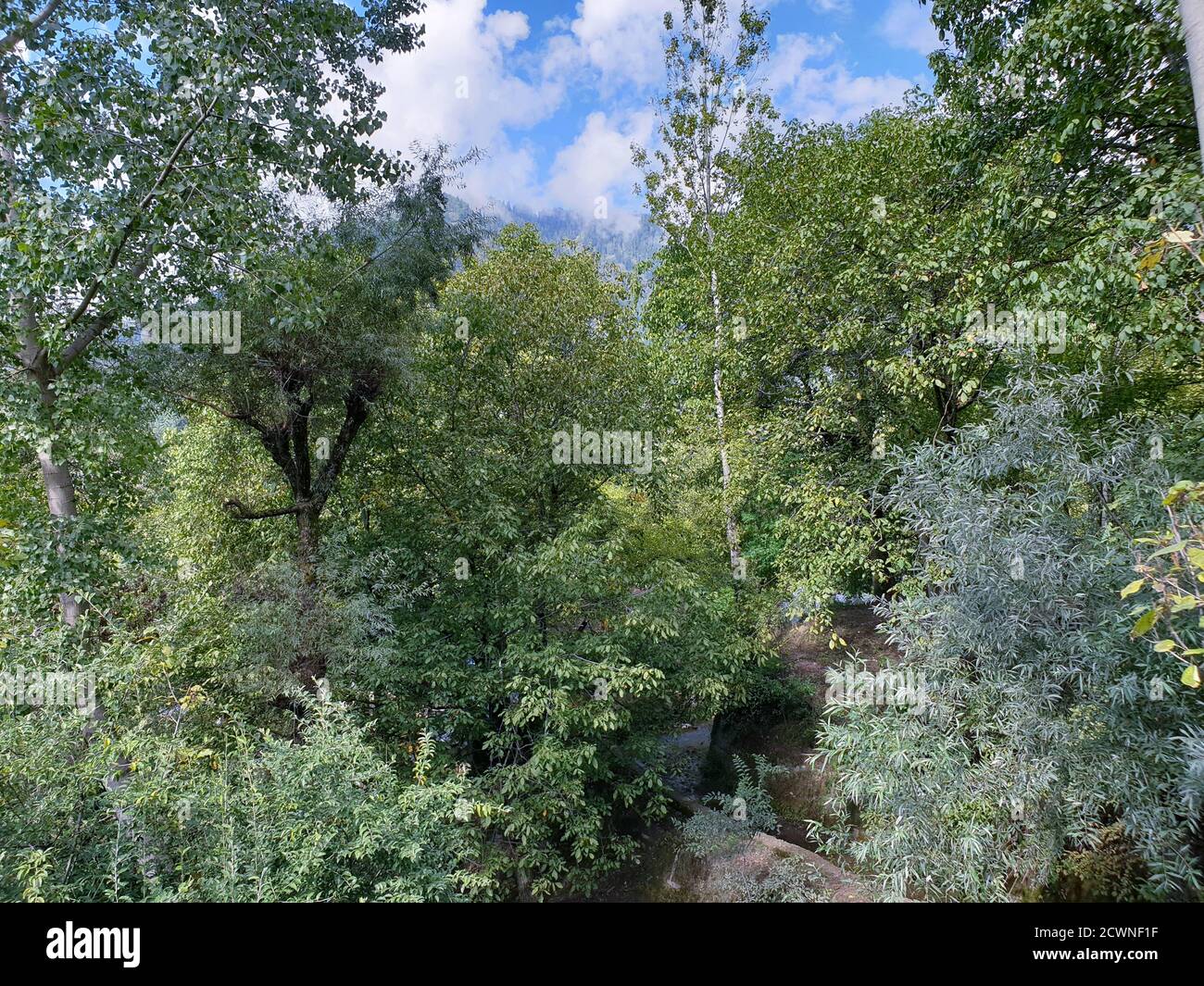 Green vegetable field landscape nature huge beautiful hills and long ...