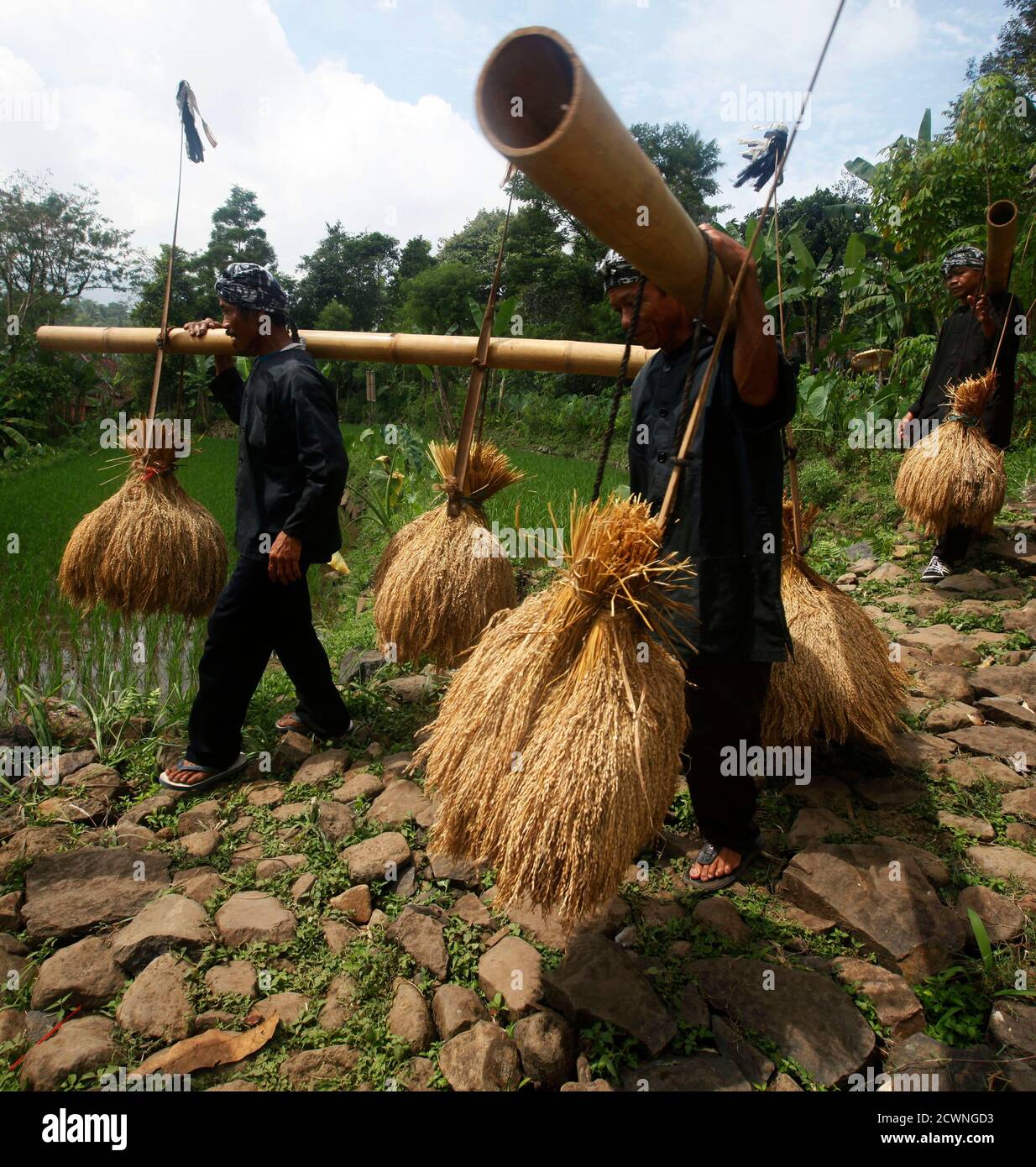 Rice Harvest Festival High Resolution Stock Photography and Images - Alamy