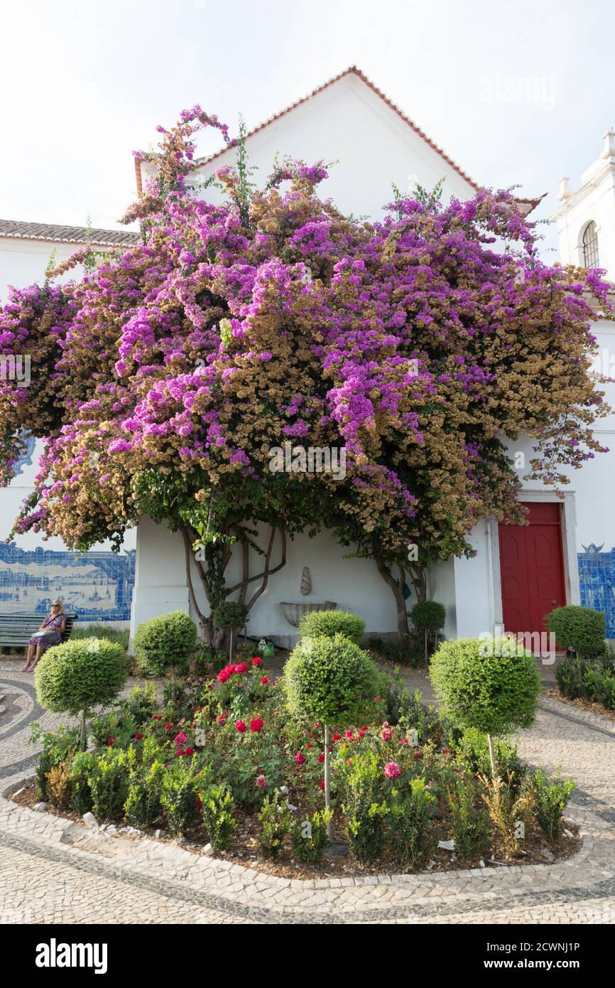 Vertical shot of a beautiful garden with flowers and trees Stock Photo ...