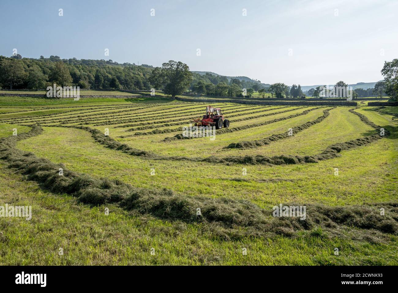 Farmer turning freshly cut grass to make silage using a red tractor ...