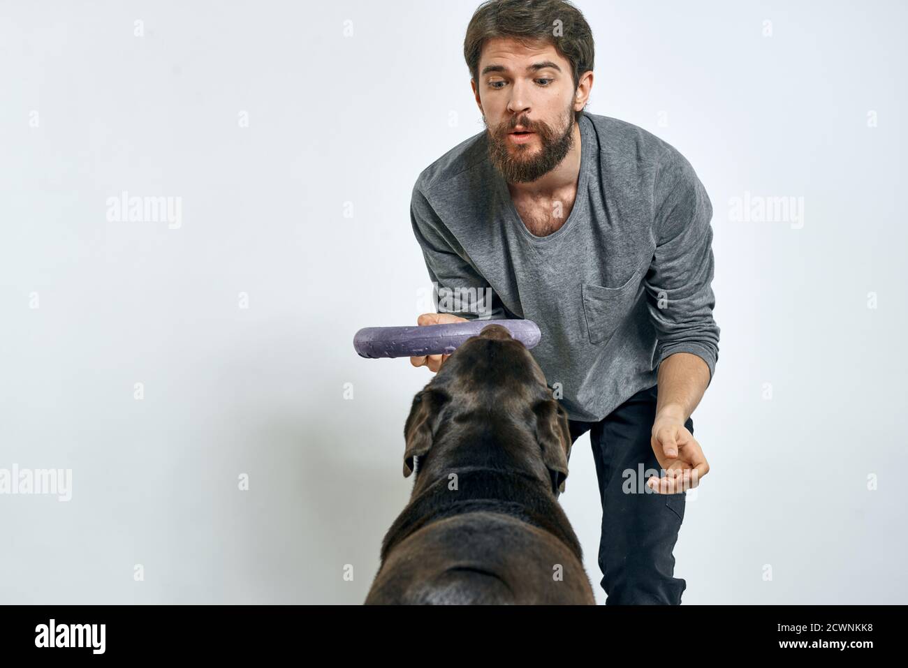 happy owner with pet black dog training model emotions Stock Photo - Alamy