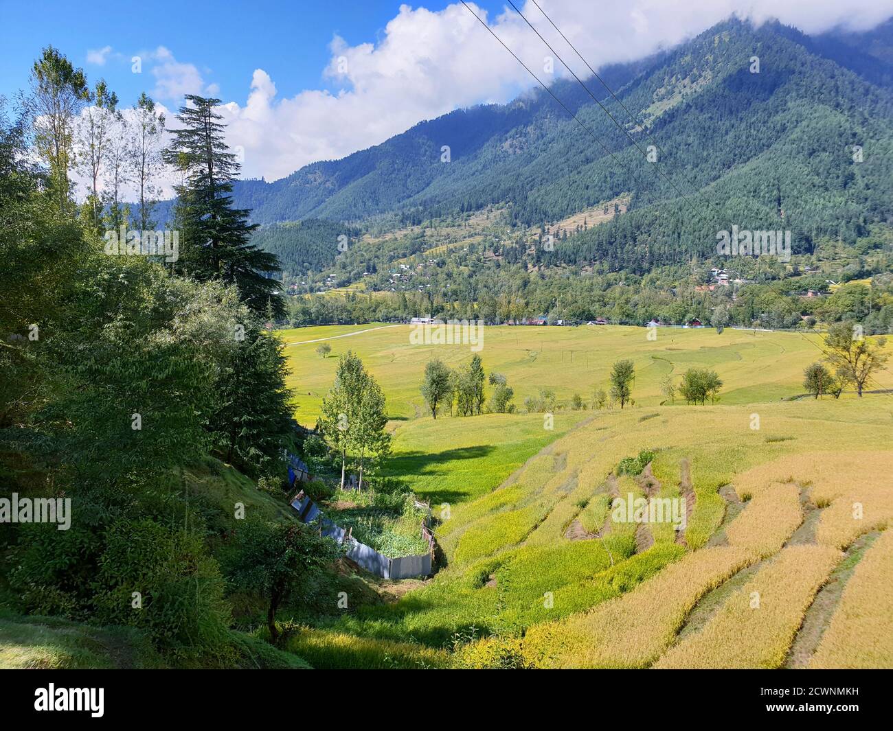 Green vegetable field landscape nature huge beautiful hills and long ...