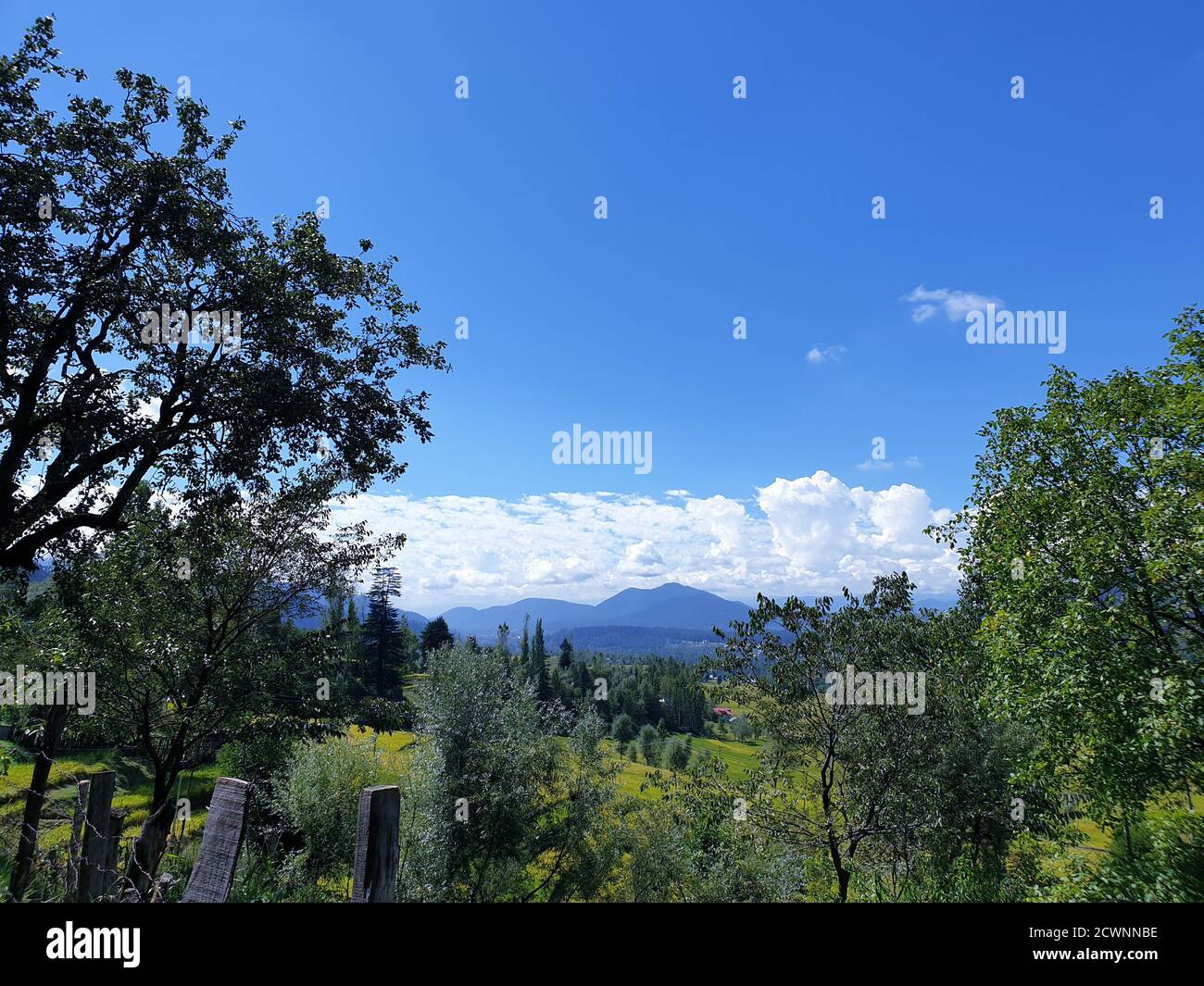 Green vegetable field landscape nature huge beautiful hills and long ...
