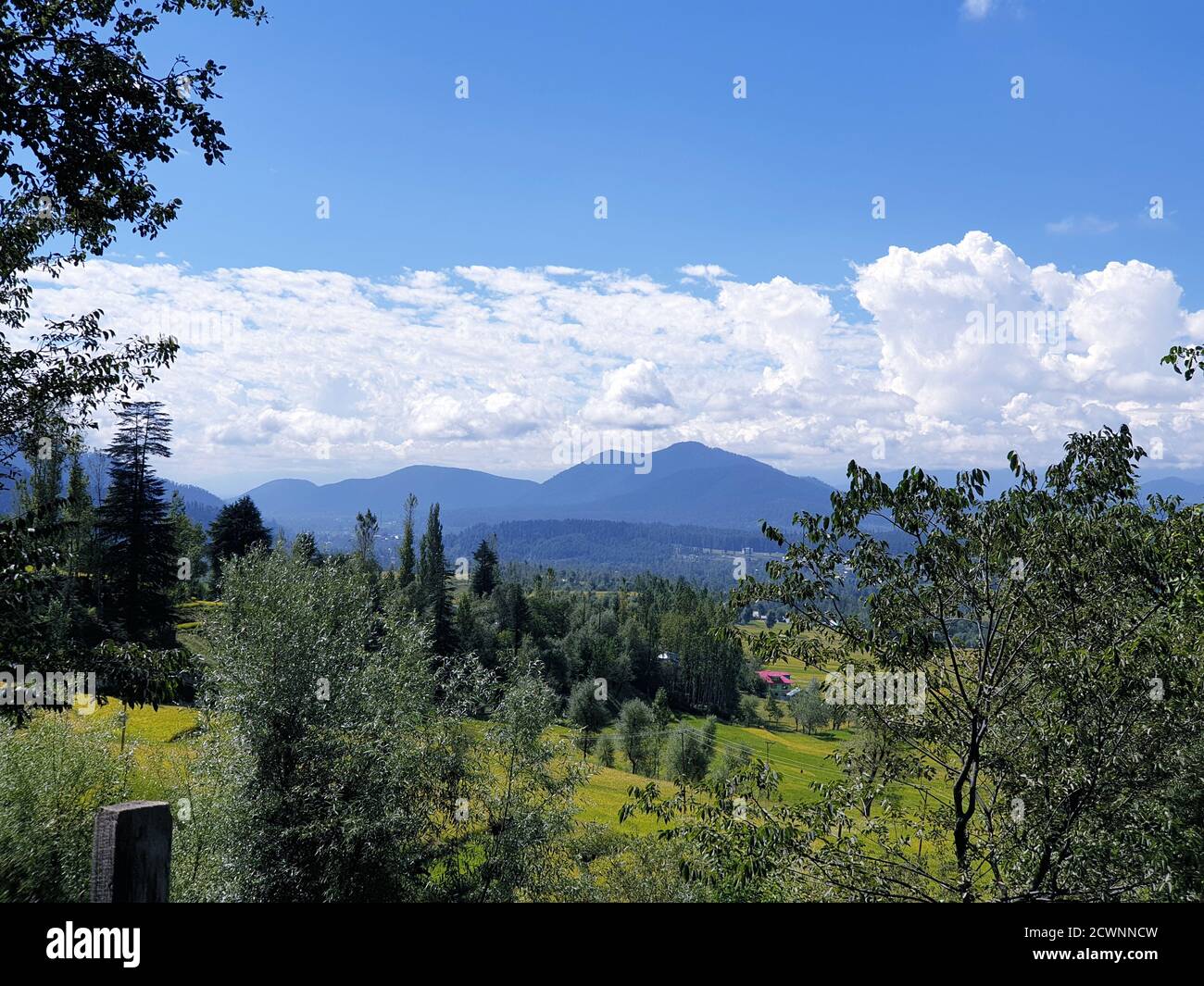 Green vegetable field landscape nature huge beautiful hills and long ...