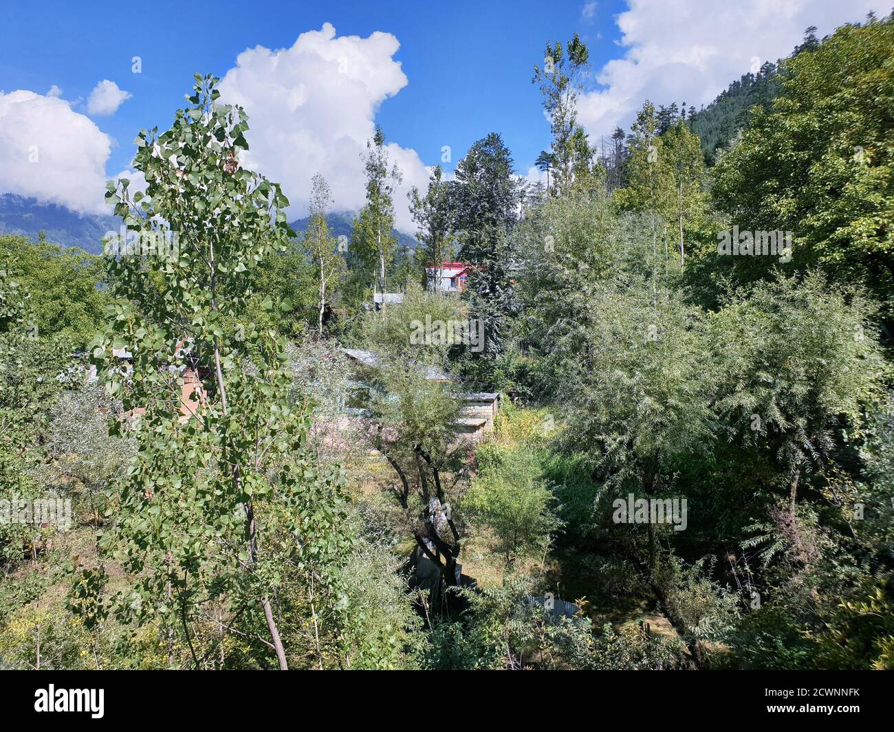 Green vegetable field landscape nature huge beautiful hills and long ...