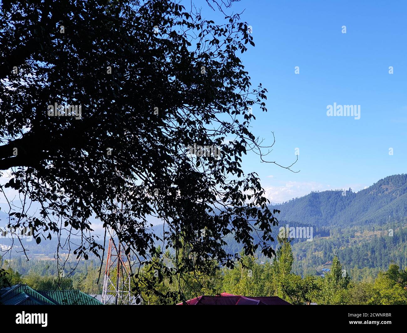 Green vegetable field landscape nature huge beautiful hills and long ...