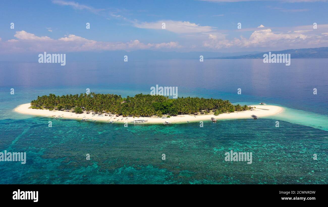 Summer beach landscape. Tropical island view, palm trees with amazing ...