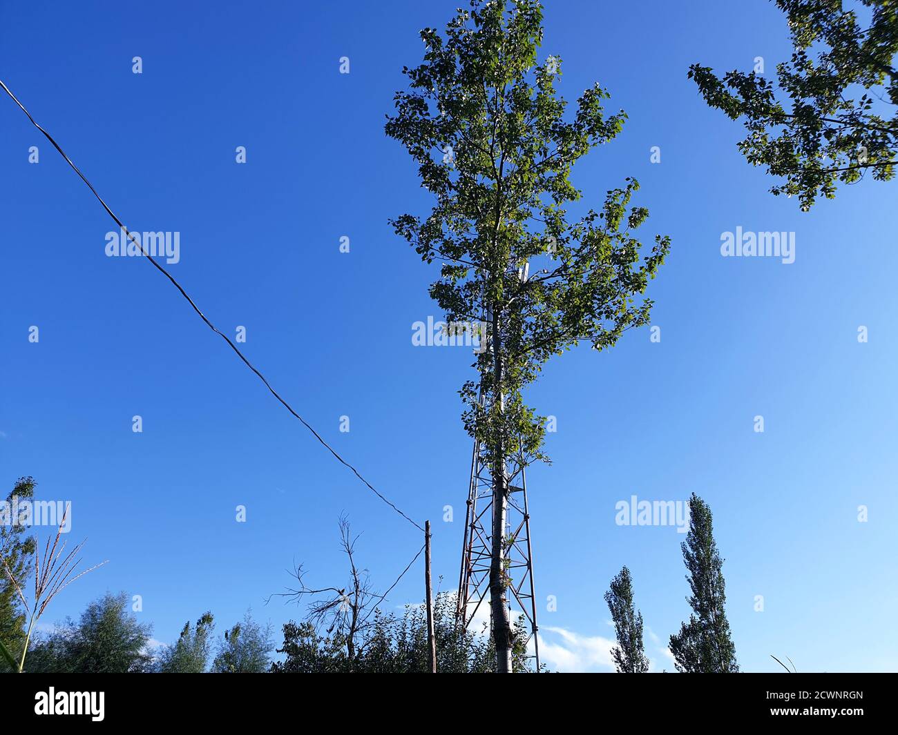 Green vegetable field landscape nature huge beautiful hills and long ...