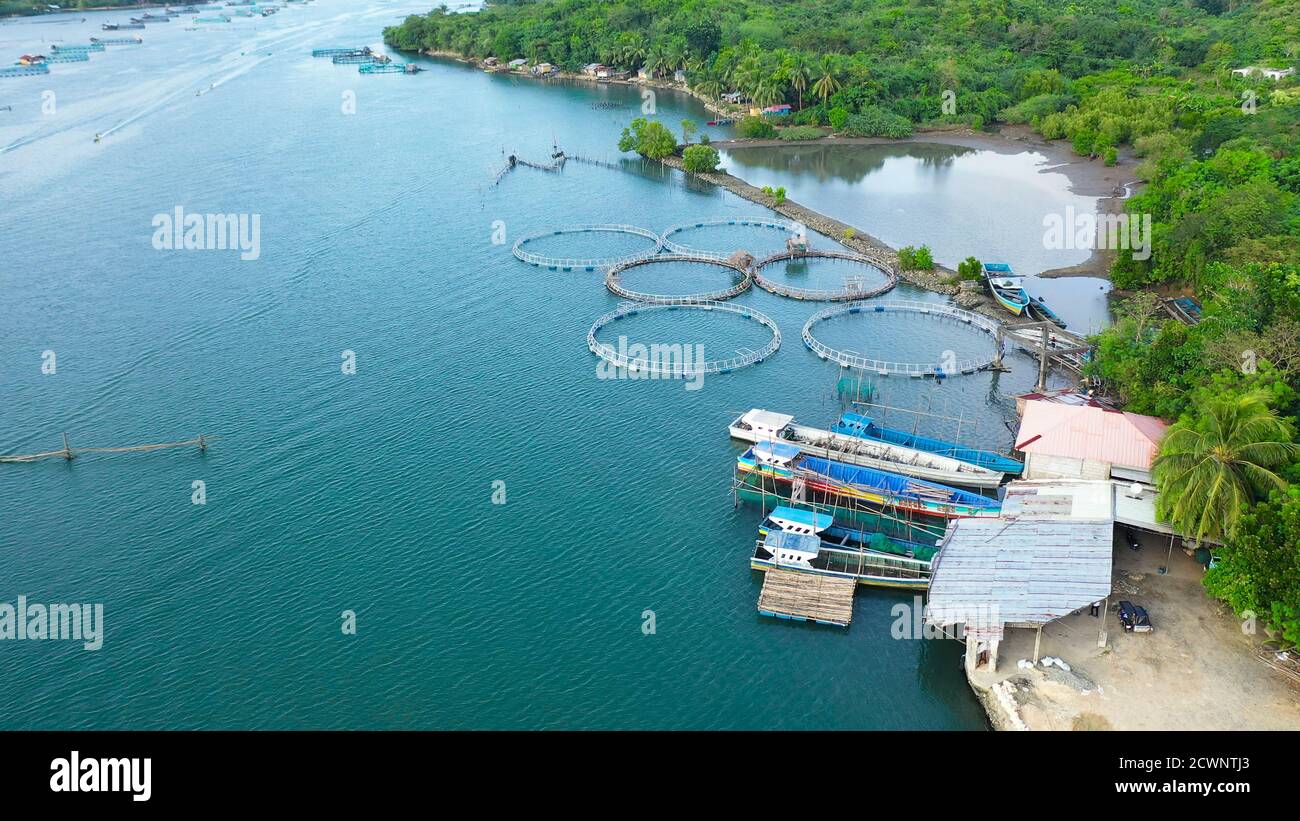 Aerial view of fish ponds for bangus, milkfish. Fish farm, top view ...