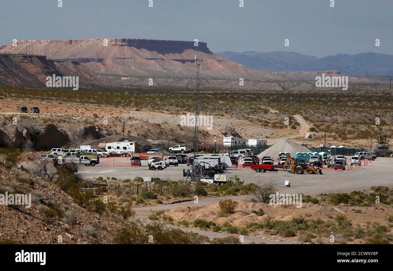 Animal standoff hi-res stock photography and images - Alamy