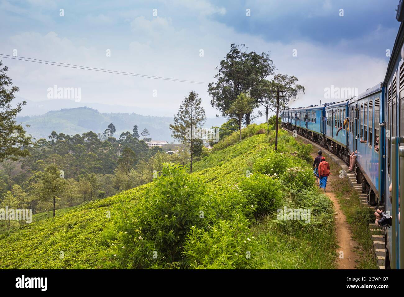 Sri Lanka, Nuwara Eliya, Kandy to Badulla train alongside tea ...