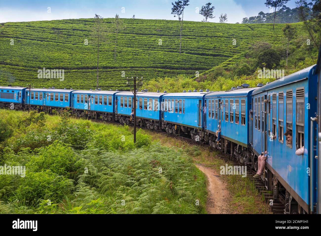 Sri Lanka, Nuwara Eliya, Kandy to Badulla train alongside tea estate Stock Photo - Alamy