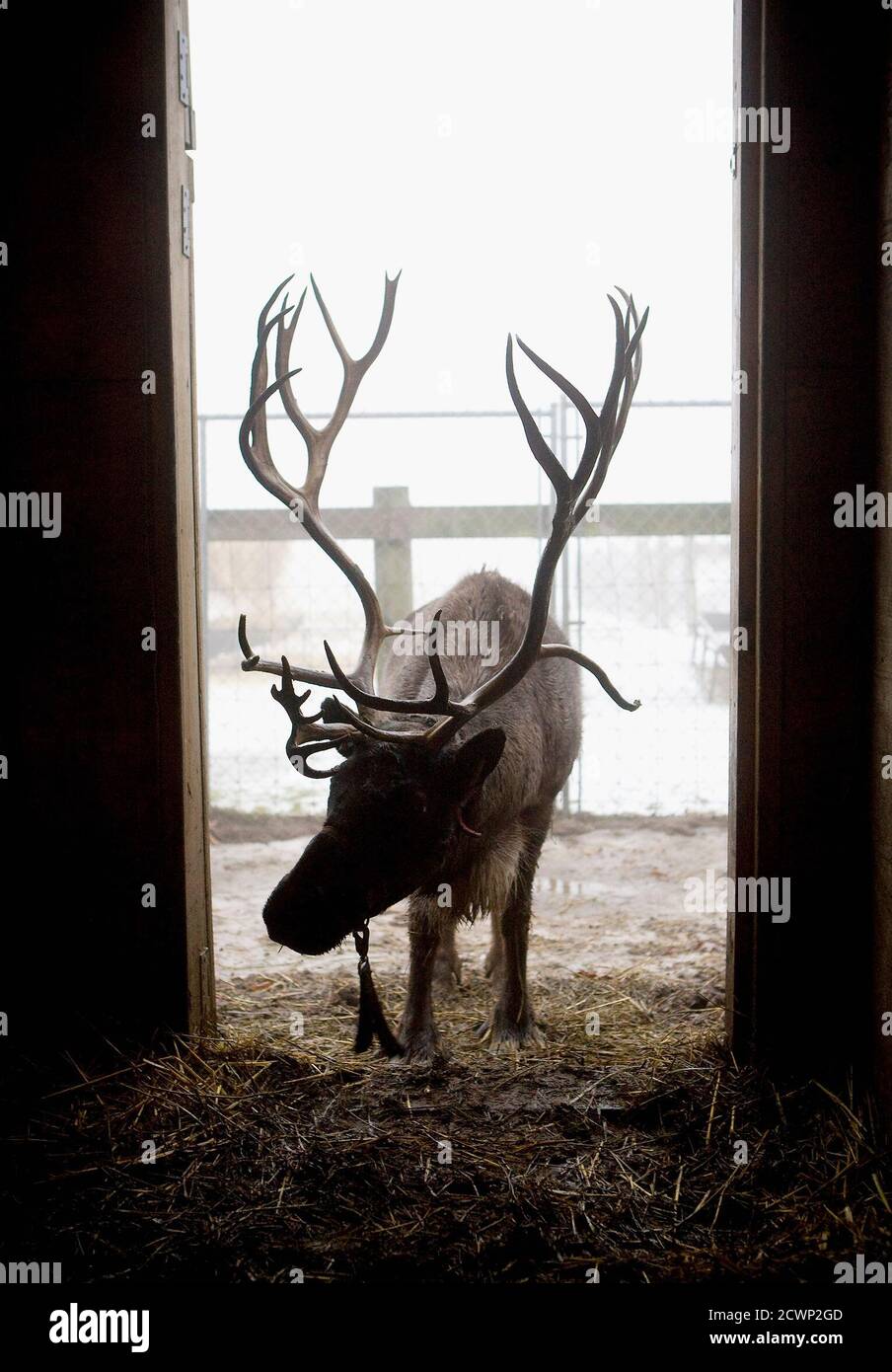 Jeff Holland High Resolution Stock Photography and Images - Alamy