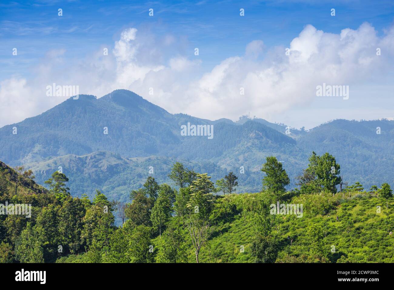 Sri Lanka, Ella, Mountain views Stock Photo - Alamy