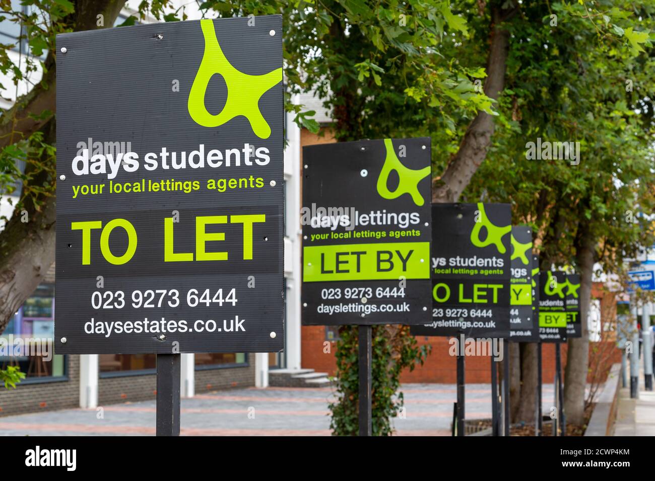 A row of to let signs outside student accommodation Stock Photo - Alamy