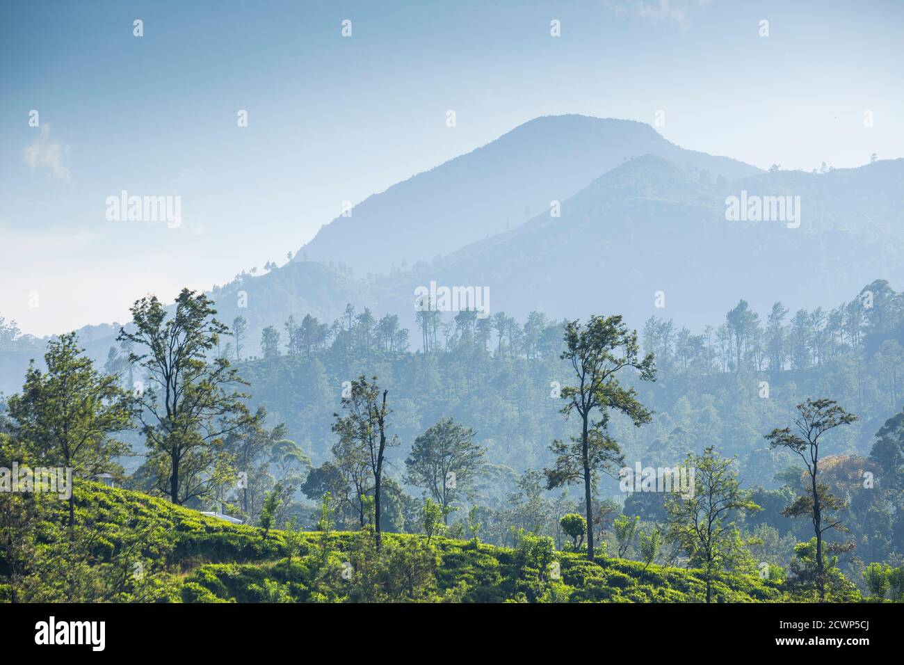 Sri Lanka, Ella, Mountain views Stock Photo - Alamy