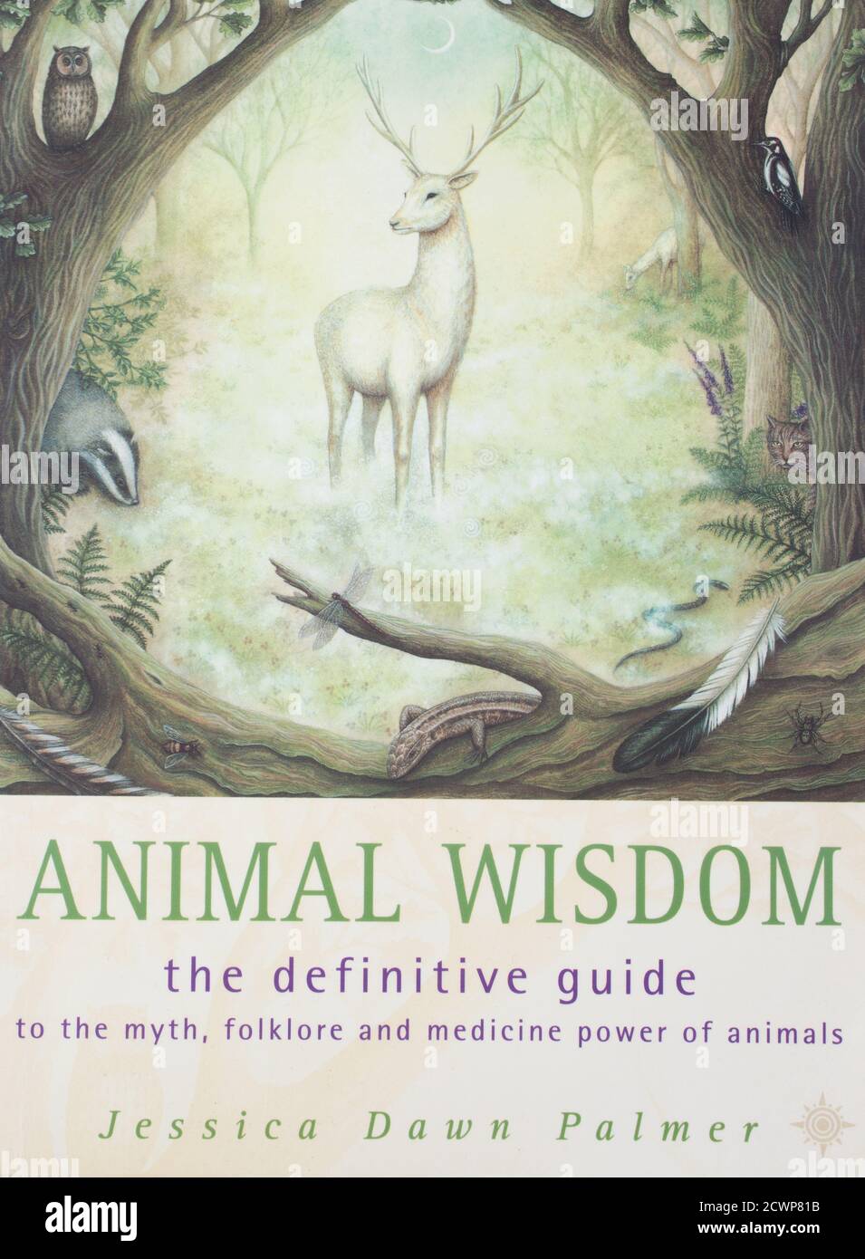 The book, Animal Wisdom the Definitive Guide by Jessica Dawn Palmer ...