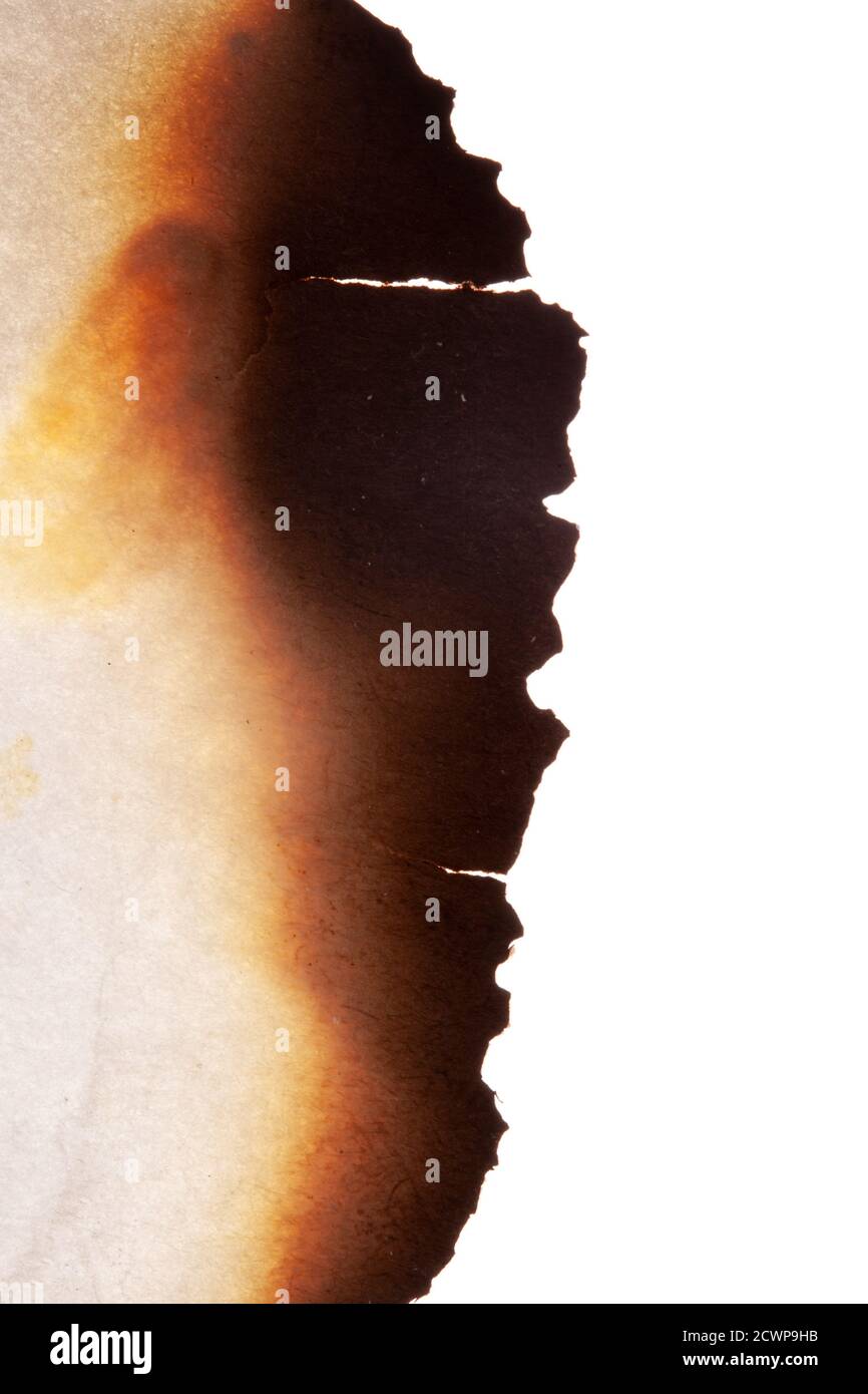 burnt paper edges isolated on white background. template for design ...