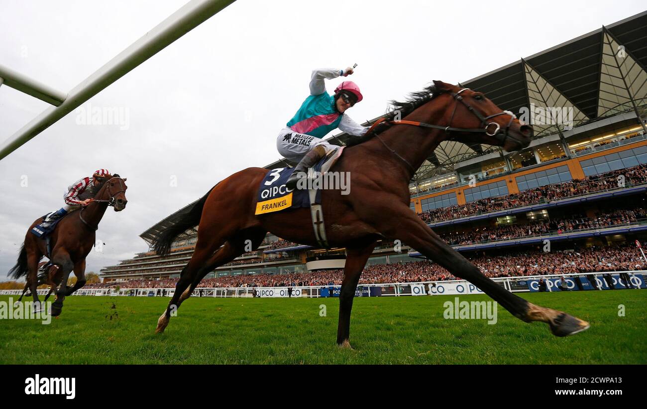Frankel ascot hi-res stock photography and images - Alamy