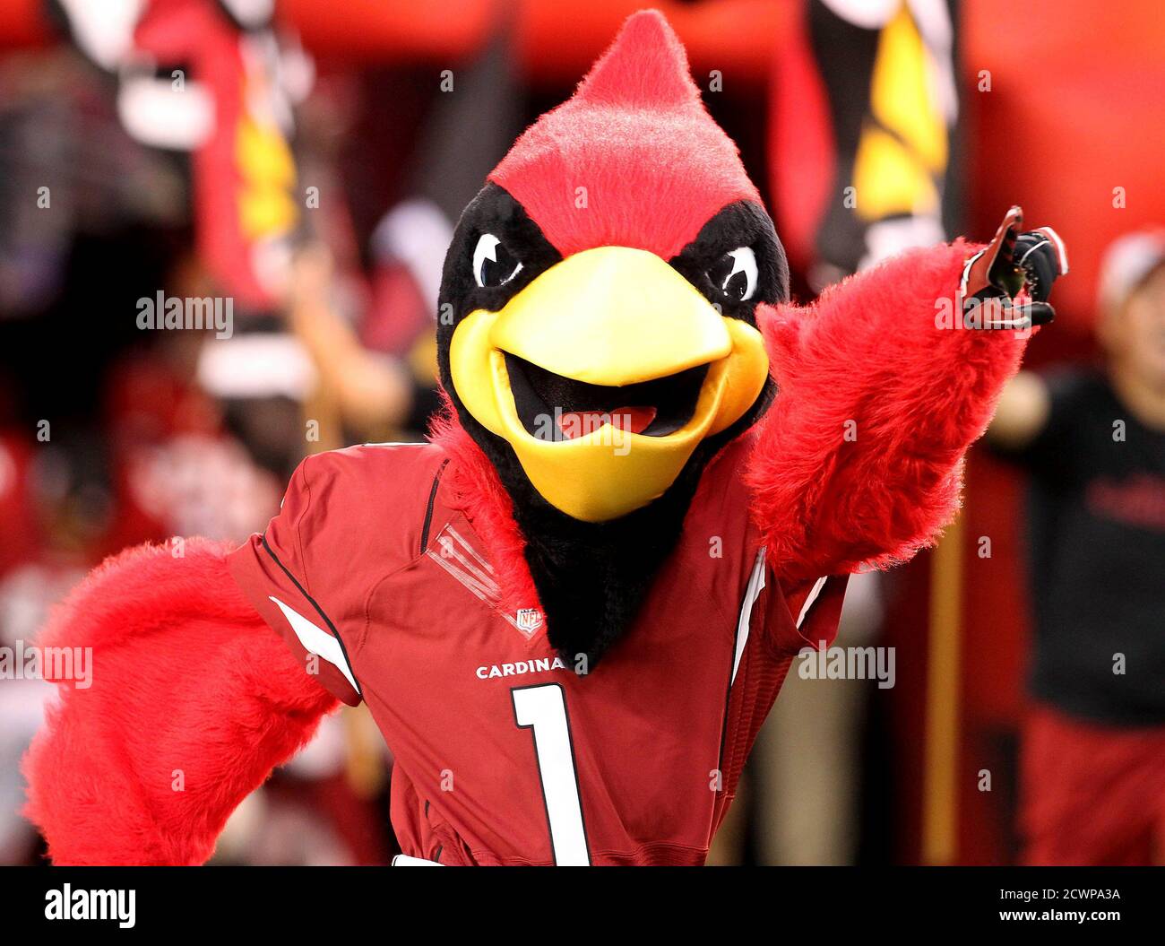 The mascot for the san francisco 49ers hi-res stock photography and ...
