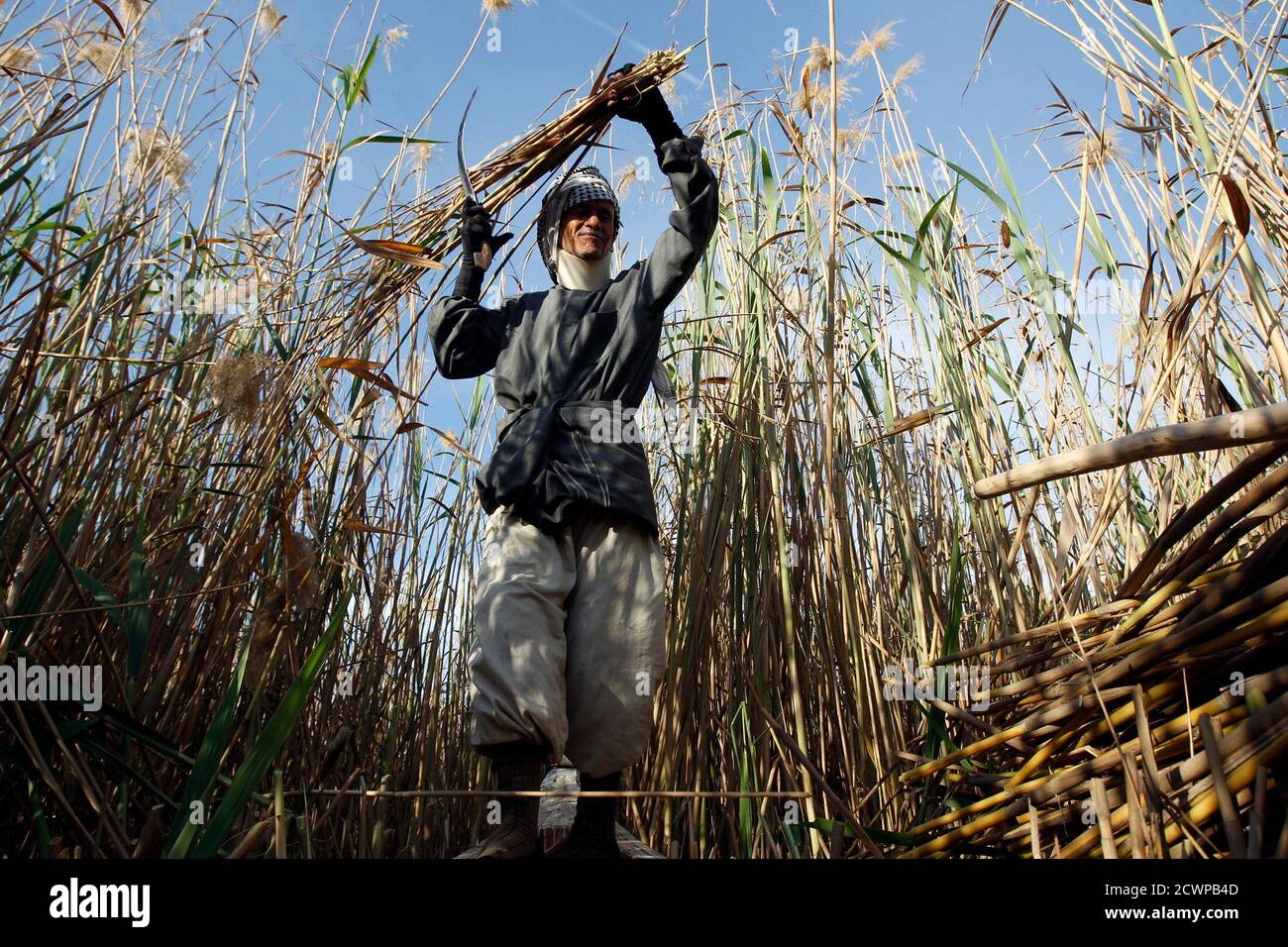 Drained marsh iraq hi-res stock photography and images - Alamy