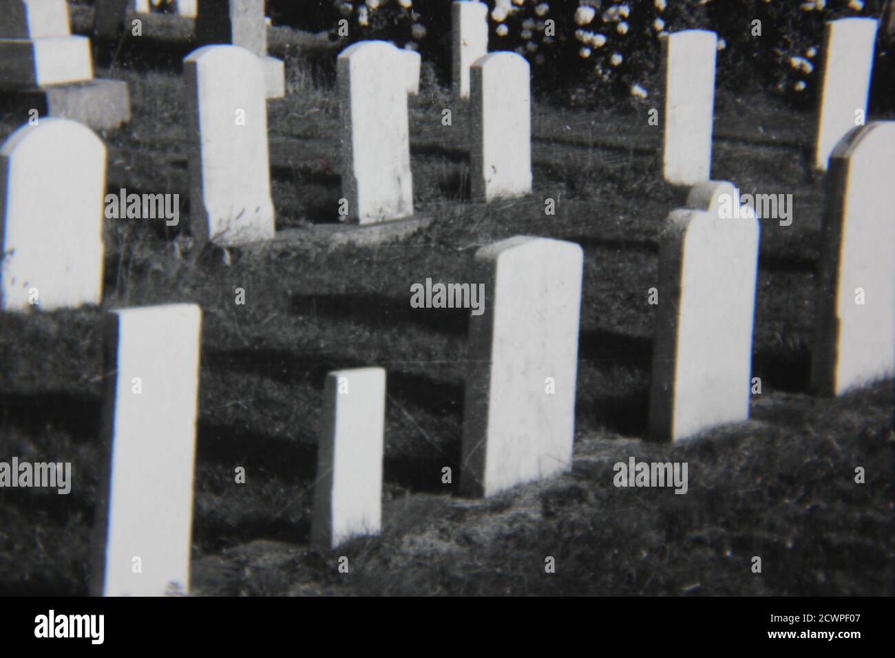 Fine 1970s vintage black and white photography of gravestones standing ...