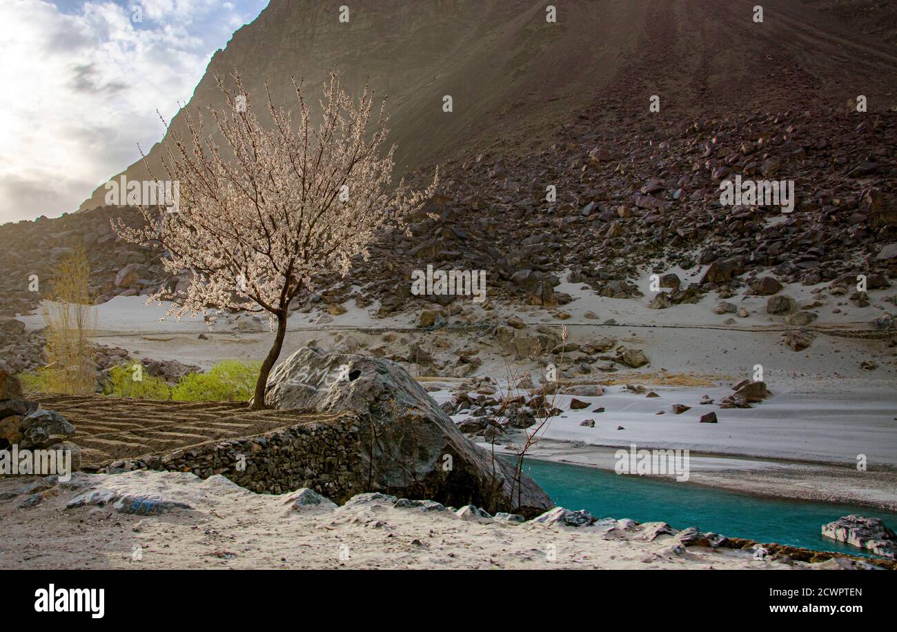 landscape photography in spring season in northern areas of Pakistan ...