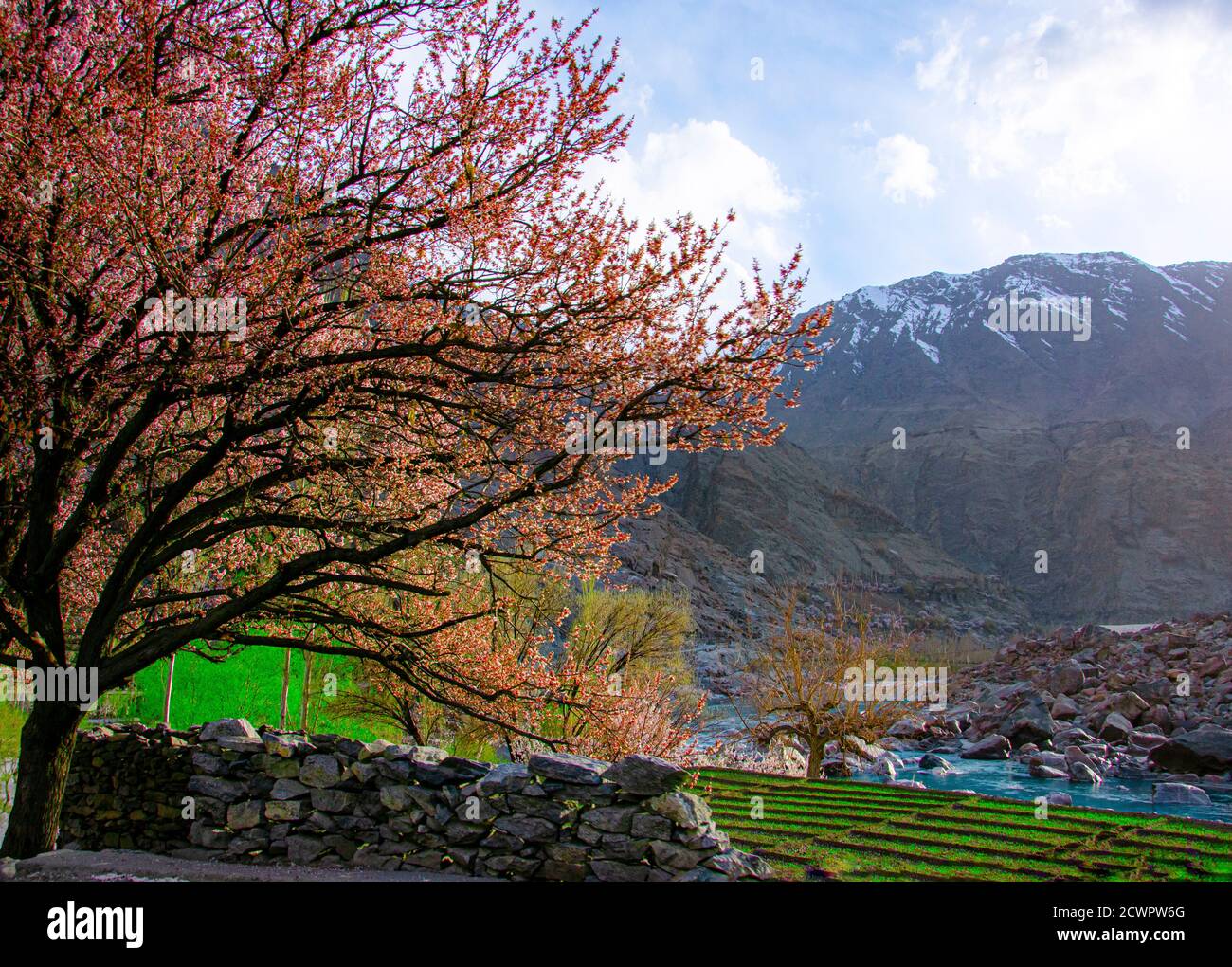 landscape photography in spring season in northern areas of Pakistan ...