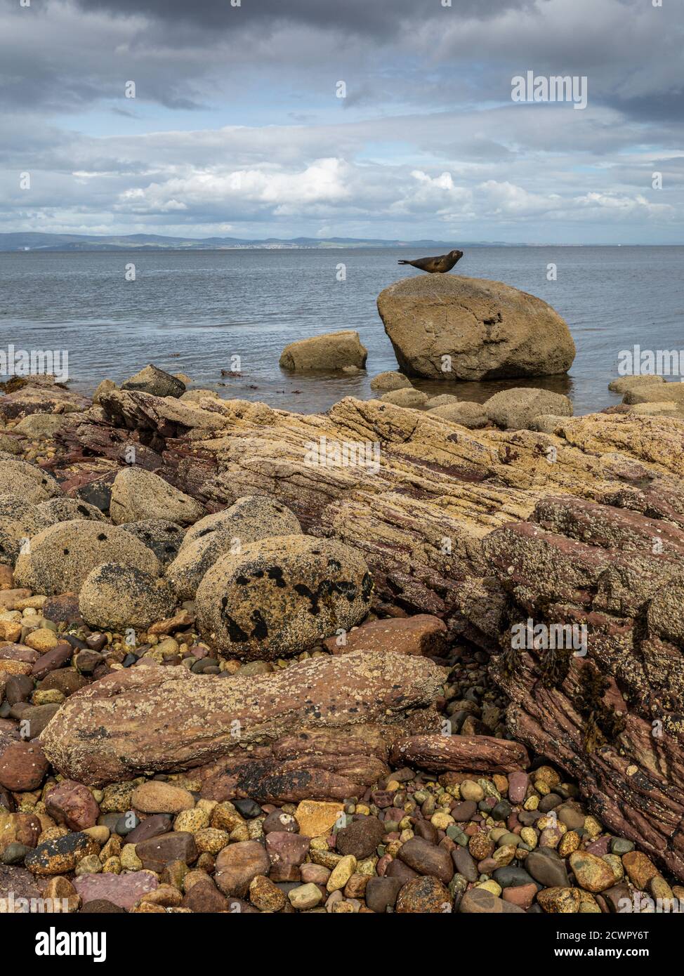sculpture of a seal carved from wood on a rock near the Corrie Hotel ...