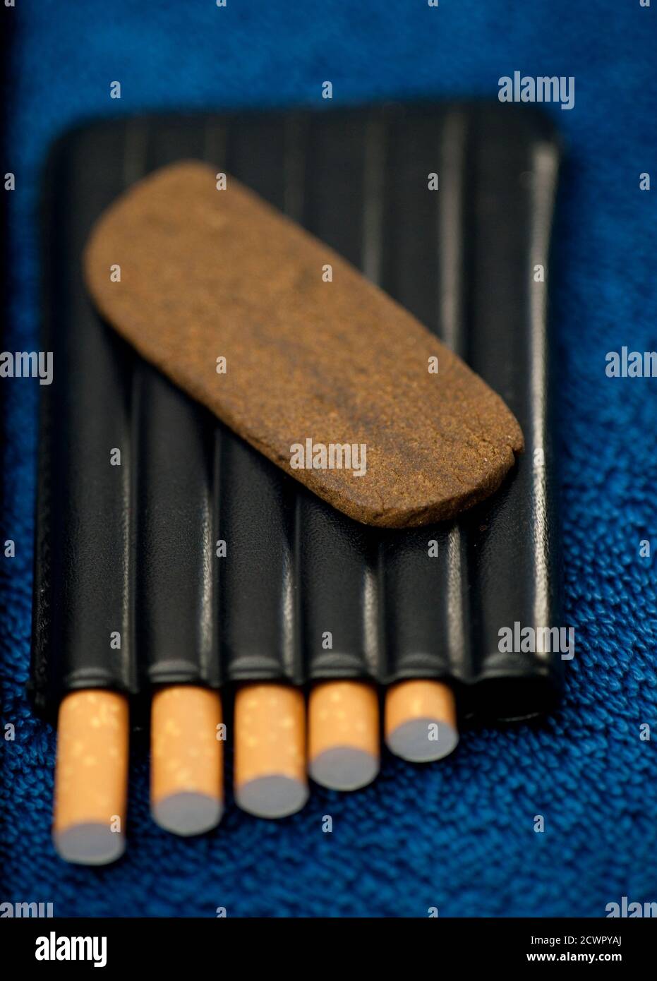 Medical Hashis in the Kingdom of Morocco - CBD medical Moroccan ...