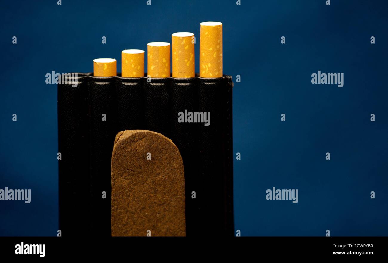 Medical Hashis in the Kingdom of Morocco - CBD medical Moroccan ...