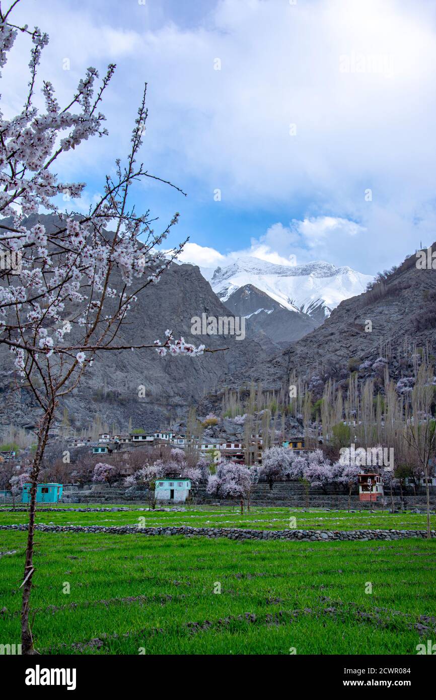landscape photography in spring season in northern areas of Pakistan ...