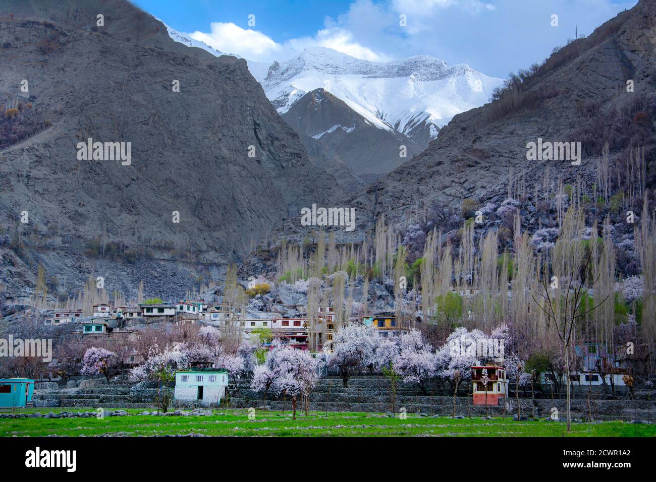 landscape photography in spring season in northern areas of Pakistan ...