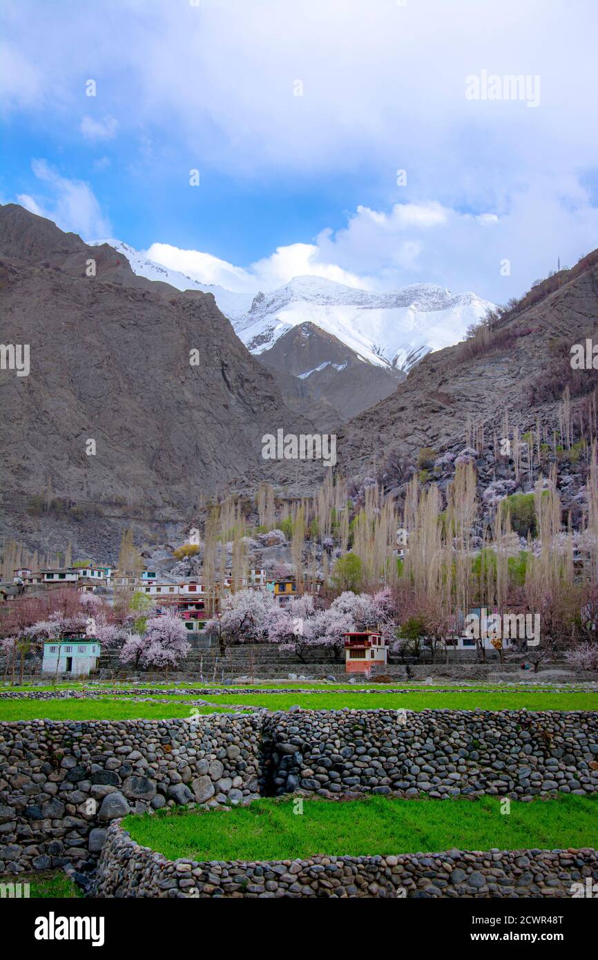 landscape photography in spring season in northern areas of Pakistan ...