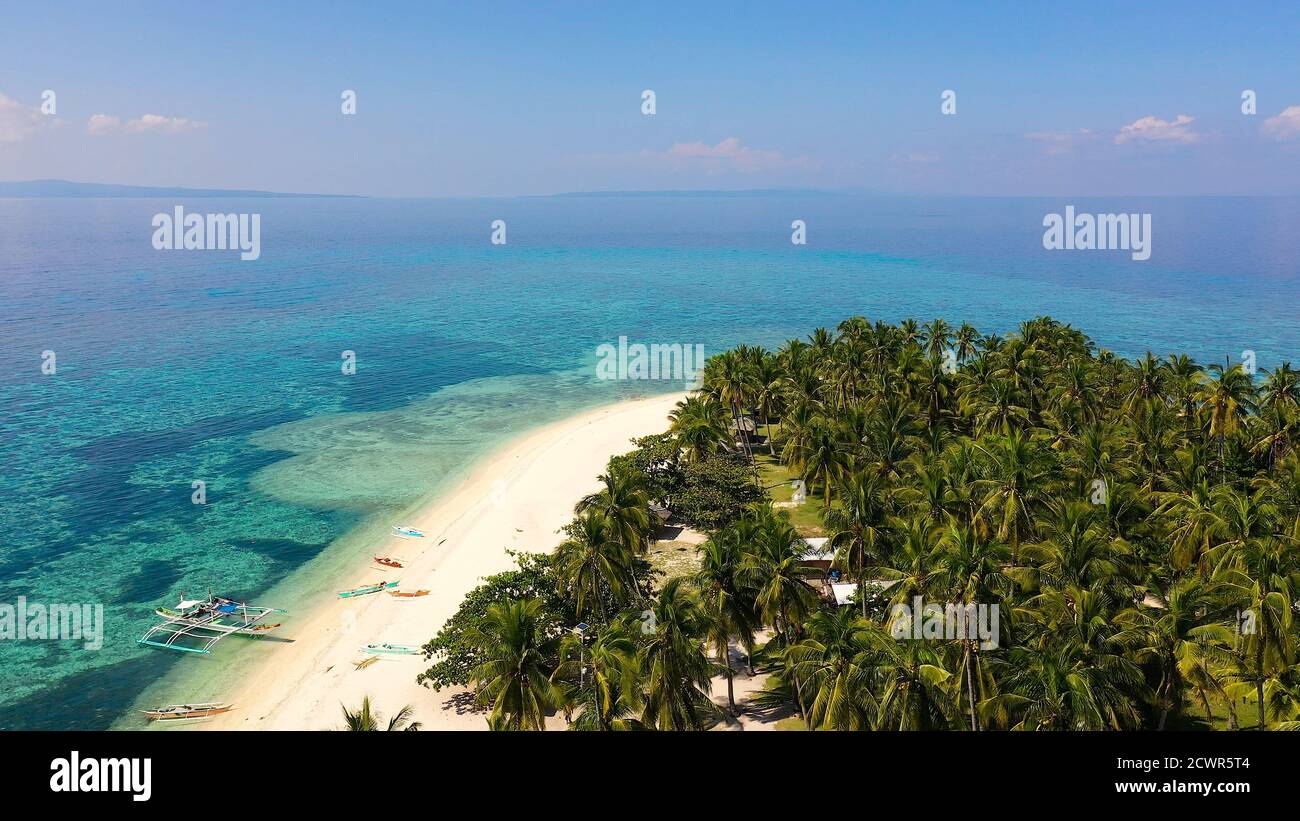 Summer beach landscape. Tropical island view, palm trees with amazing ...