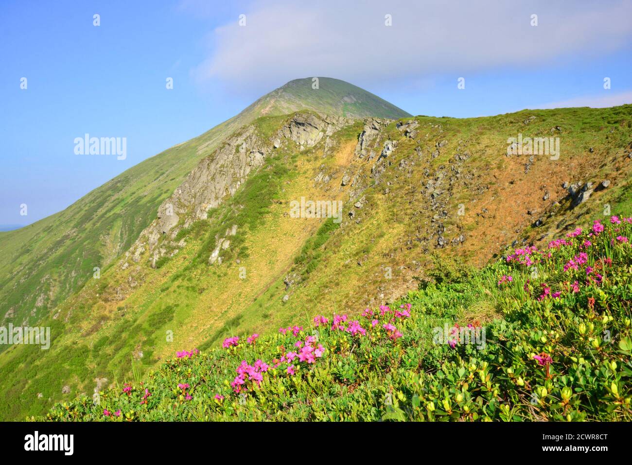 Hoverla slope hi-res stock photography and images - Alamy