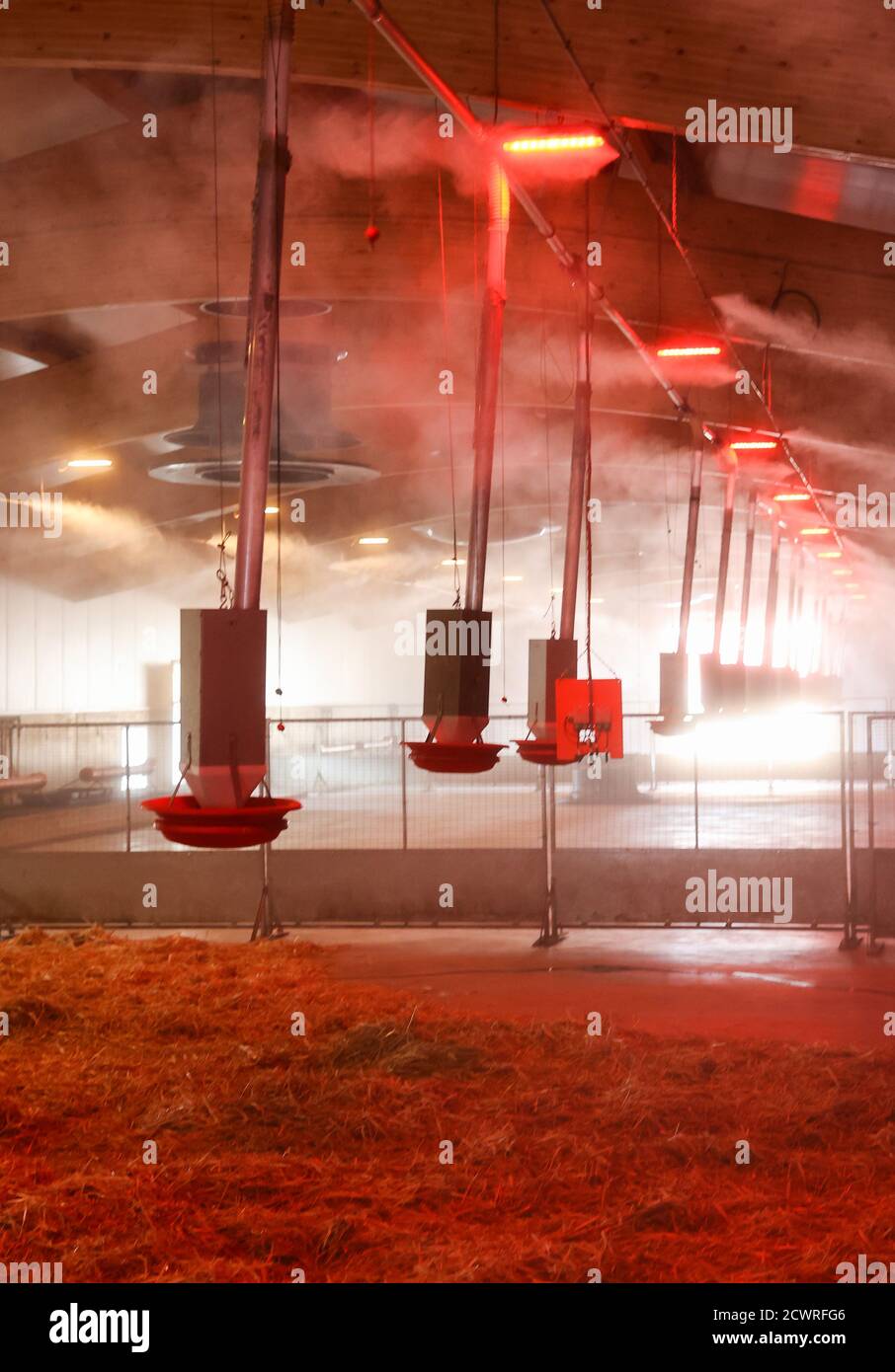 30 September 2020, Saxony, Wermsdorf: With a water fogging system, the ...