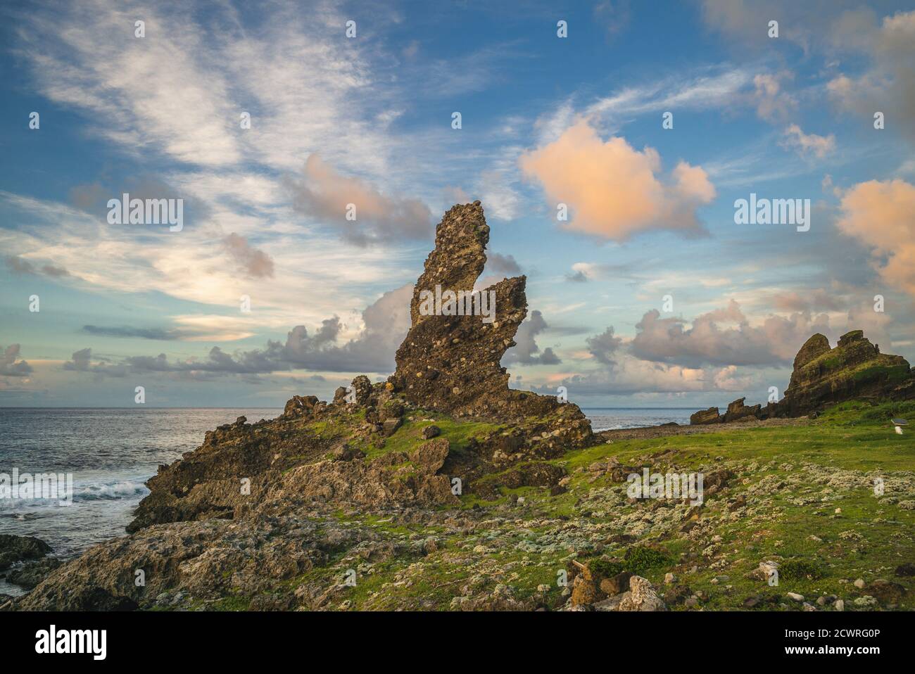 Crocodile rock hi-res stock photography and images - Alamy