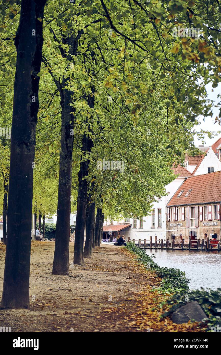 Vertical shot of aligned trees in the park of Bruges, Belgium Stock ...