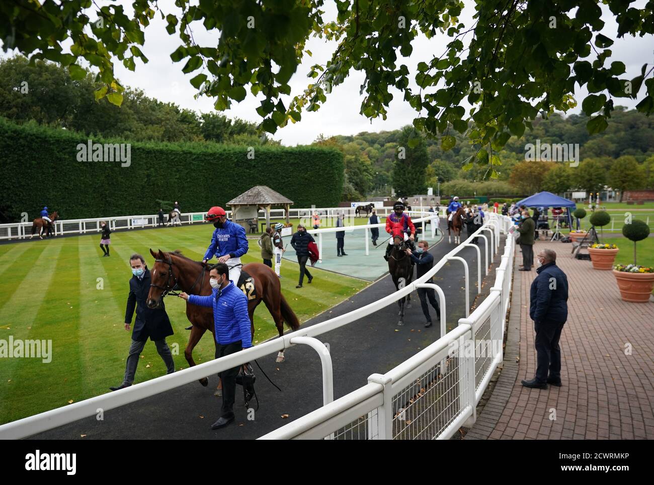 Sayyida horse hi-res stock photography and images - Alamy