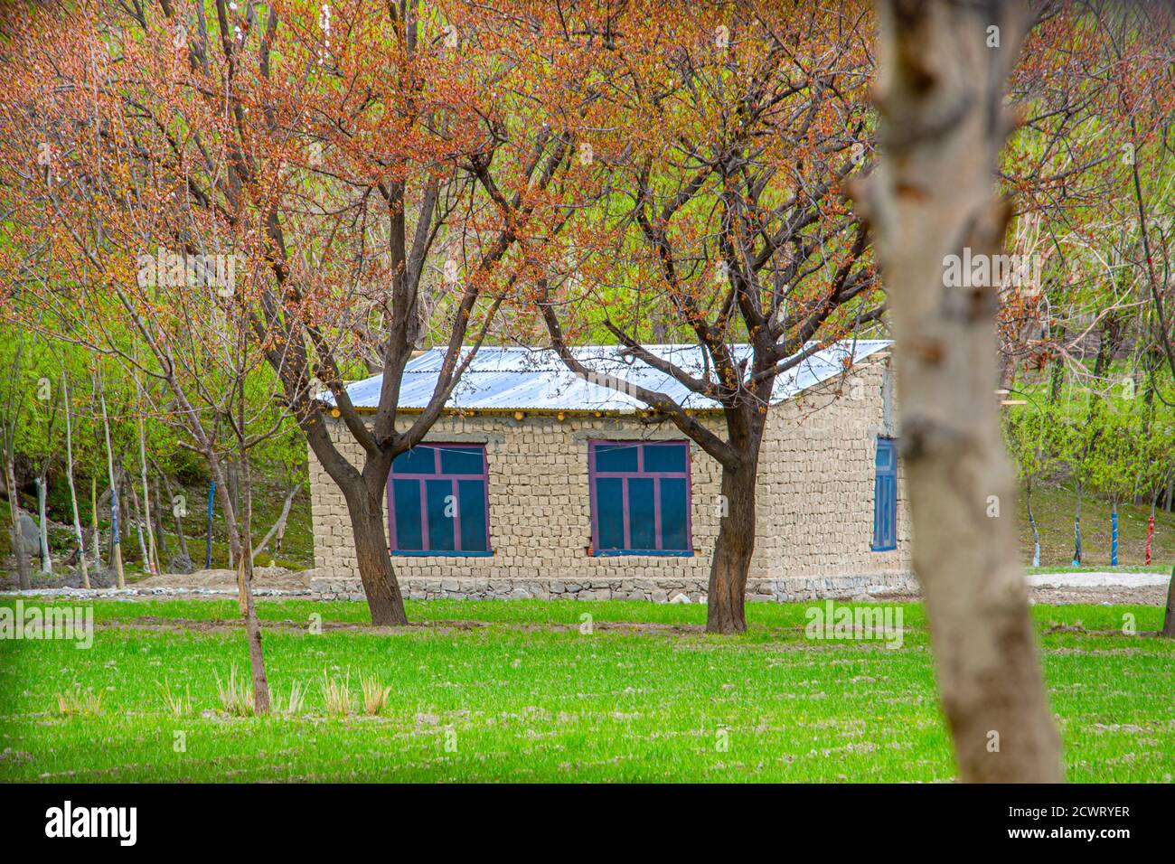 landscape photography in spring season in northern areas of Pakistan ...