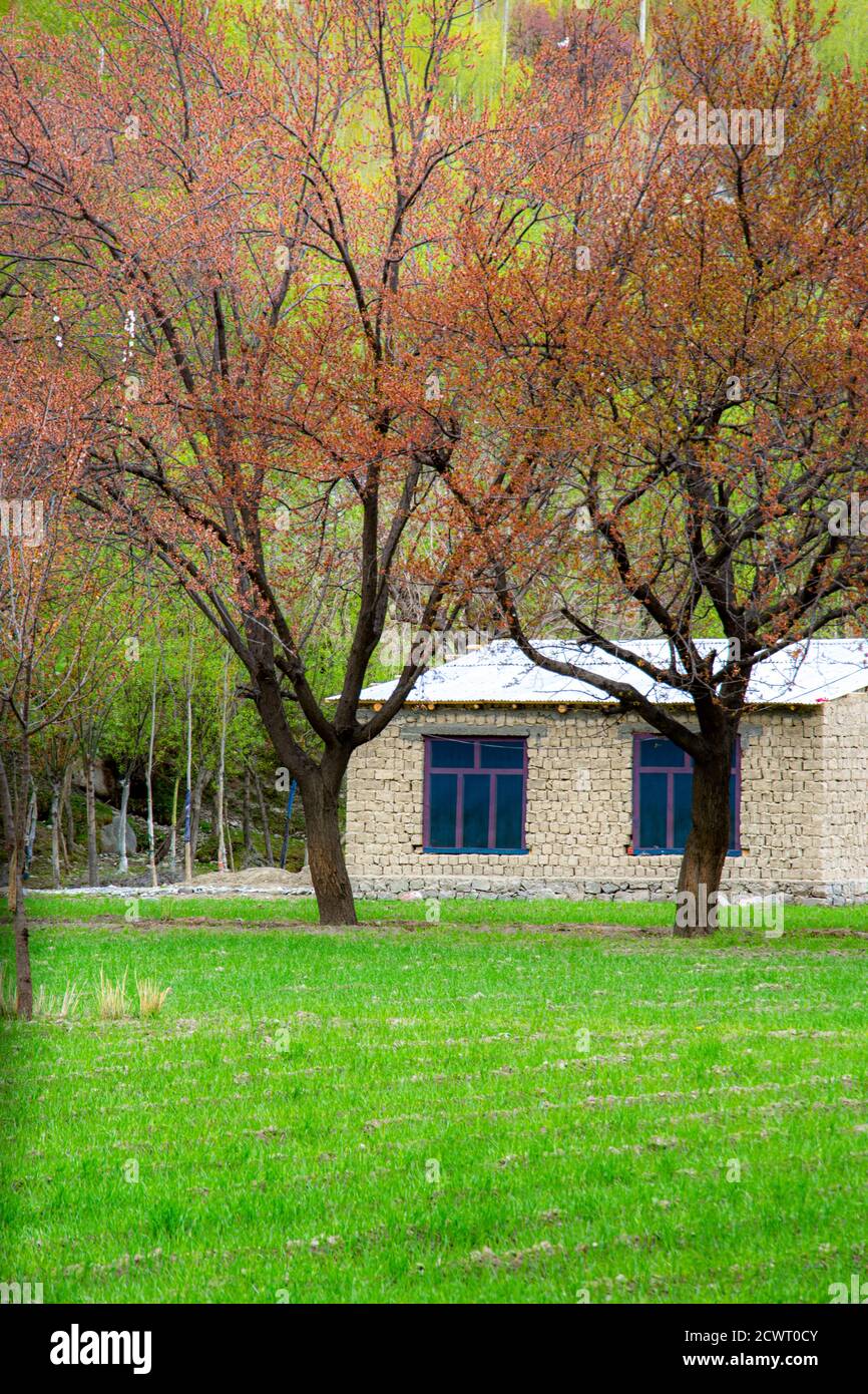 landscape photography in spring season in northern areas of Pakistan ...