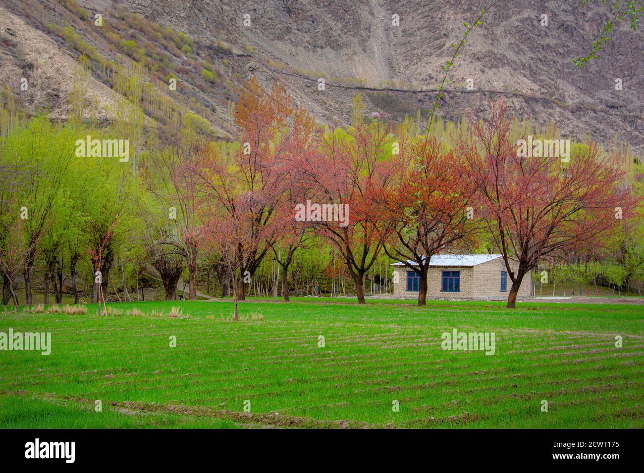 landscape photography in spring season in northern areas of Pakistan ...