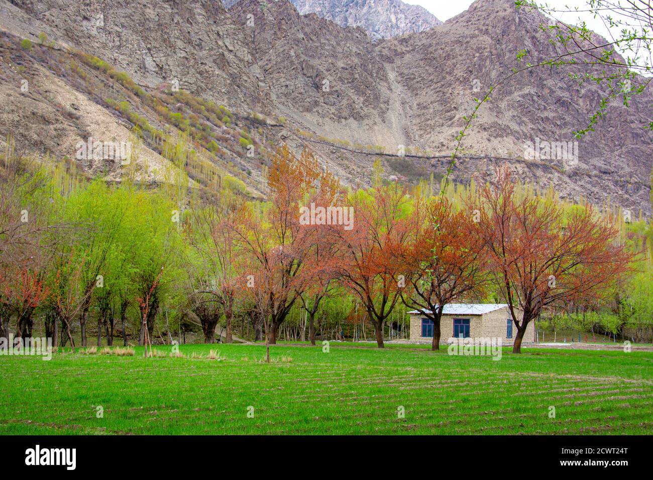 landscape photography in spring season in northern areas of Pakistan ...