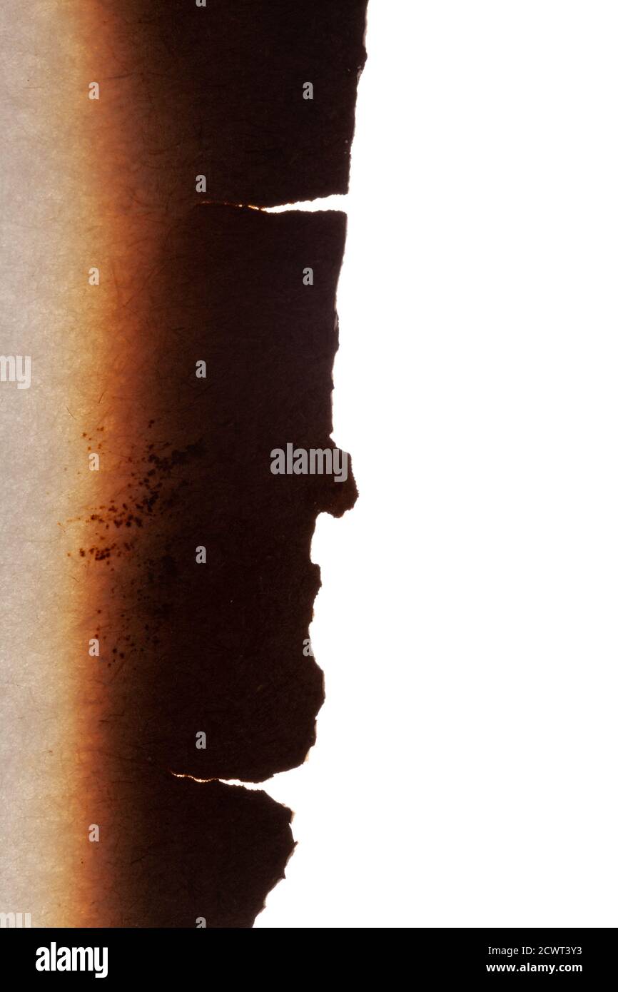 burnt paper edges isolated on white background. template for design ...