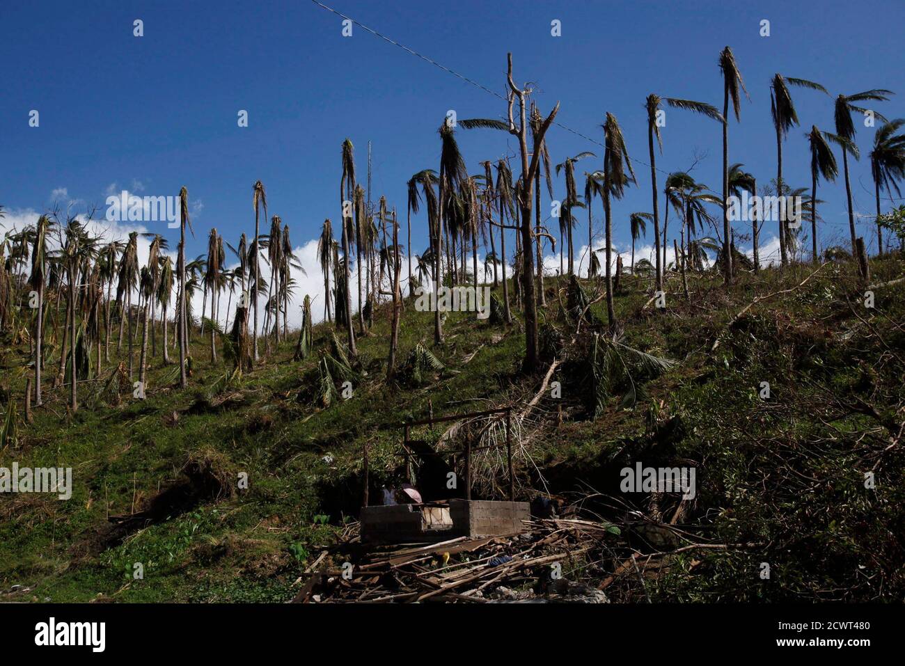 Flattened corn hi-res stock photography and images - Alamy