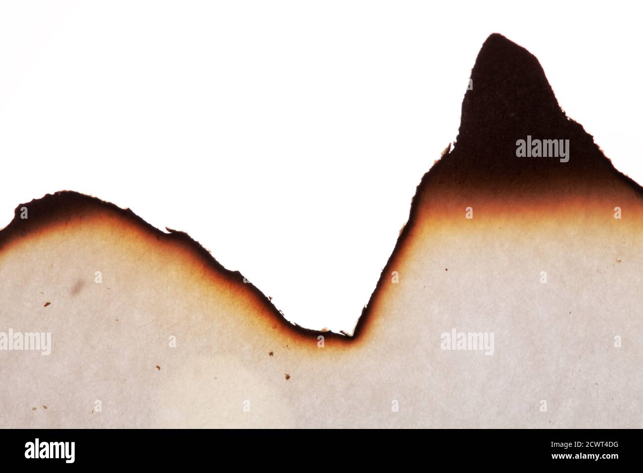 burnt paper edges isolated on white background. template for design ...