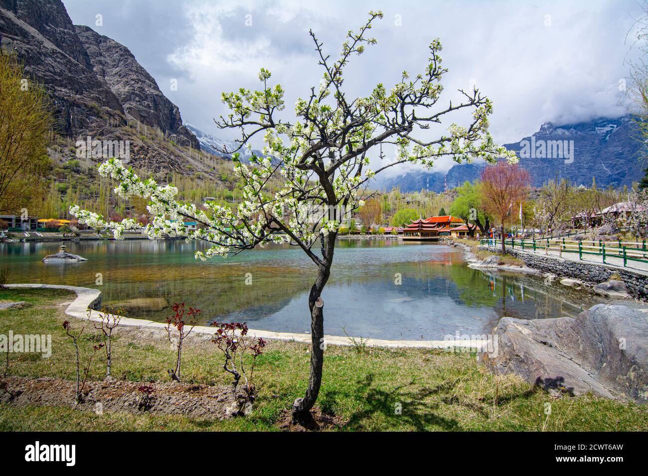 landscape photography in spring season in northern areas of Pakistan ...